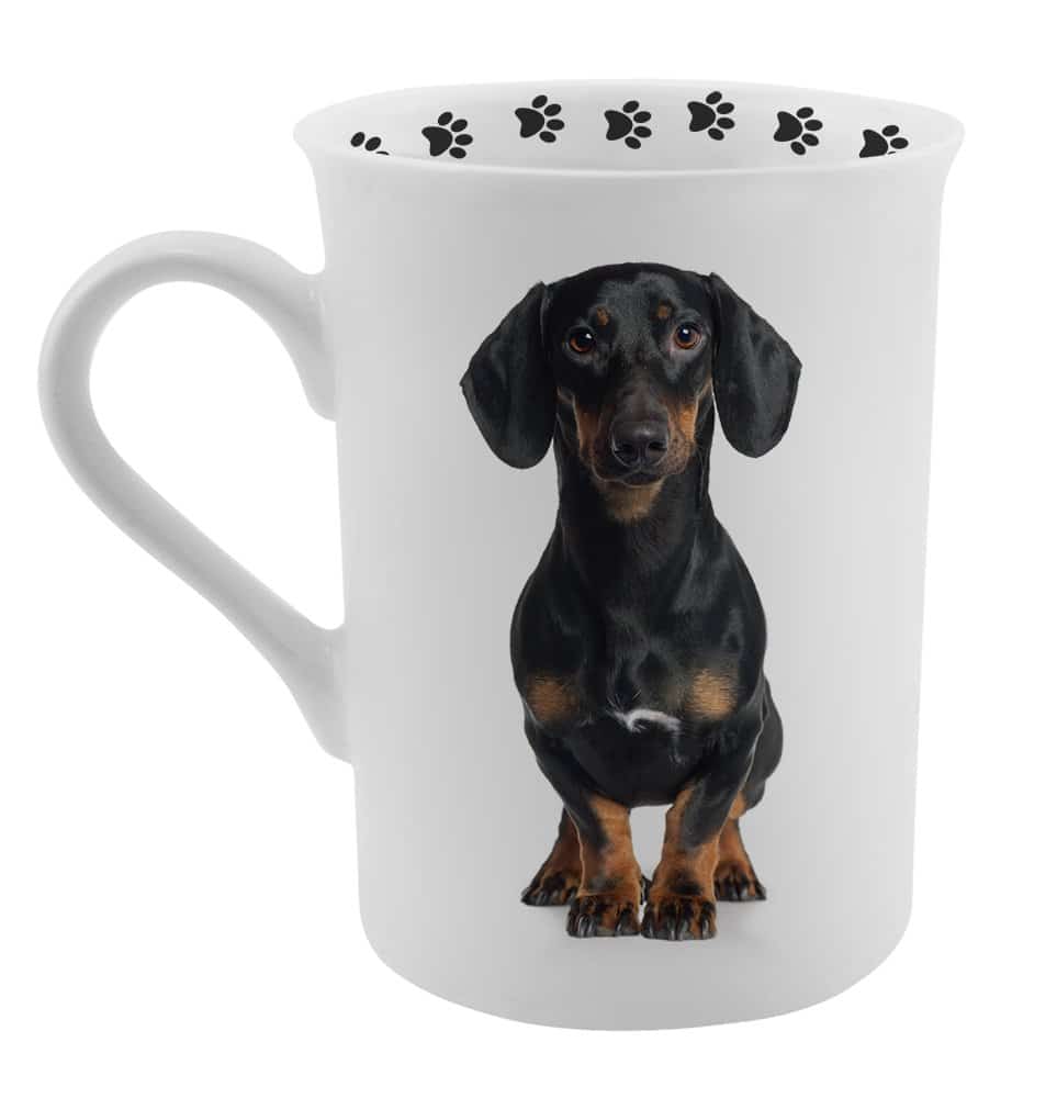Top Unique Dachshund Gifts- Dachshund Station